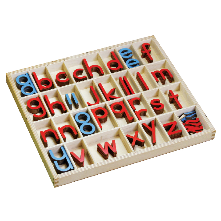 Small Movable Alphabet Spanish Red and Blue - Bruins Montessori